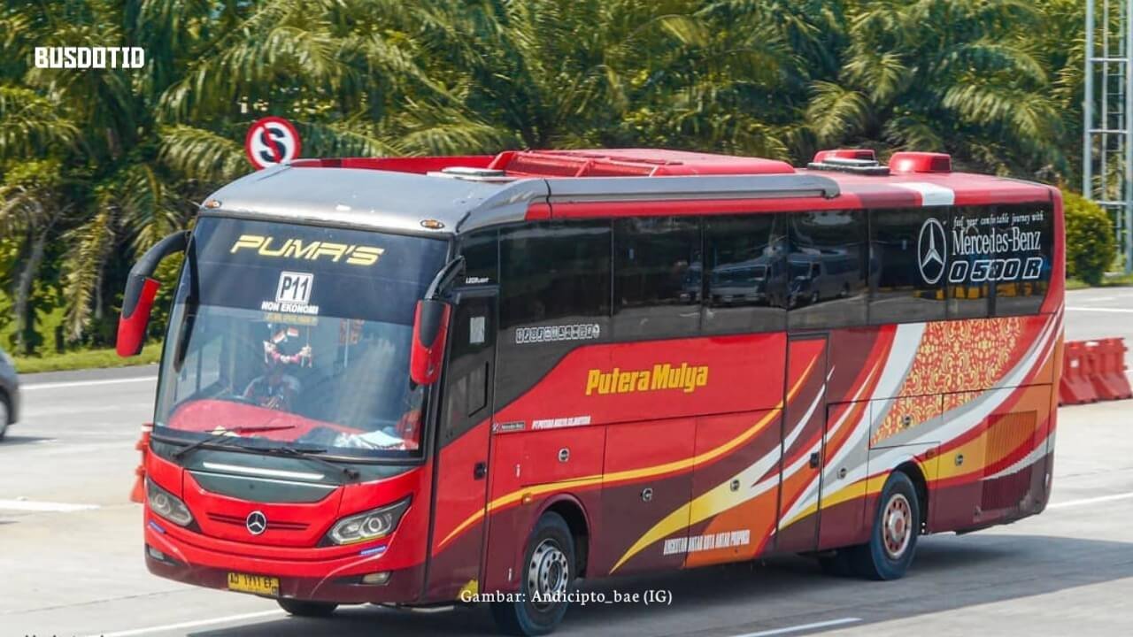 MAXIBUS Model Bus Langka Produksi Laksana